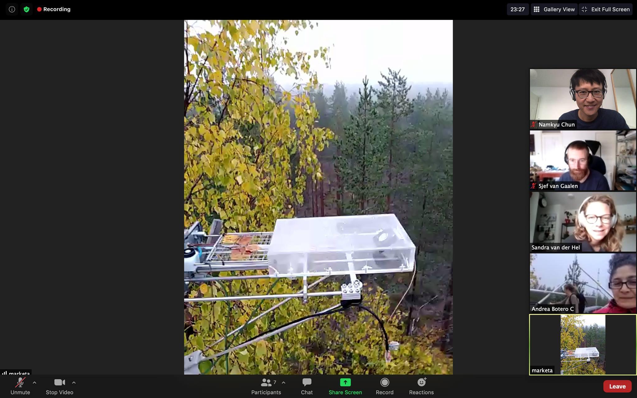 CreaTuring in Open Forest 🌲 – CreaTures