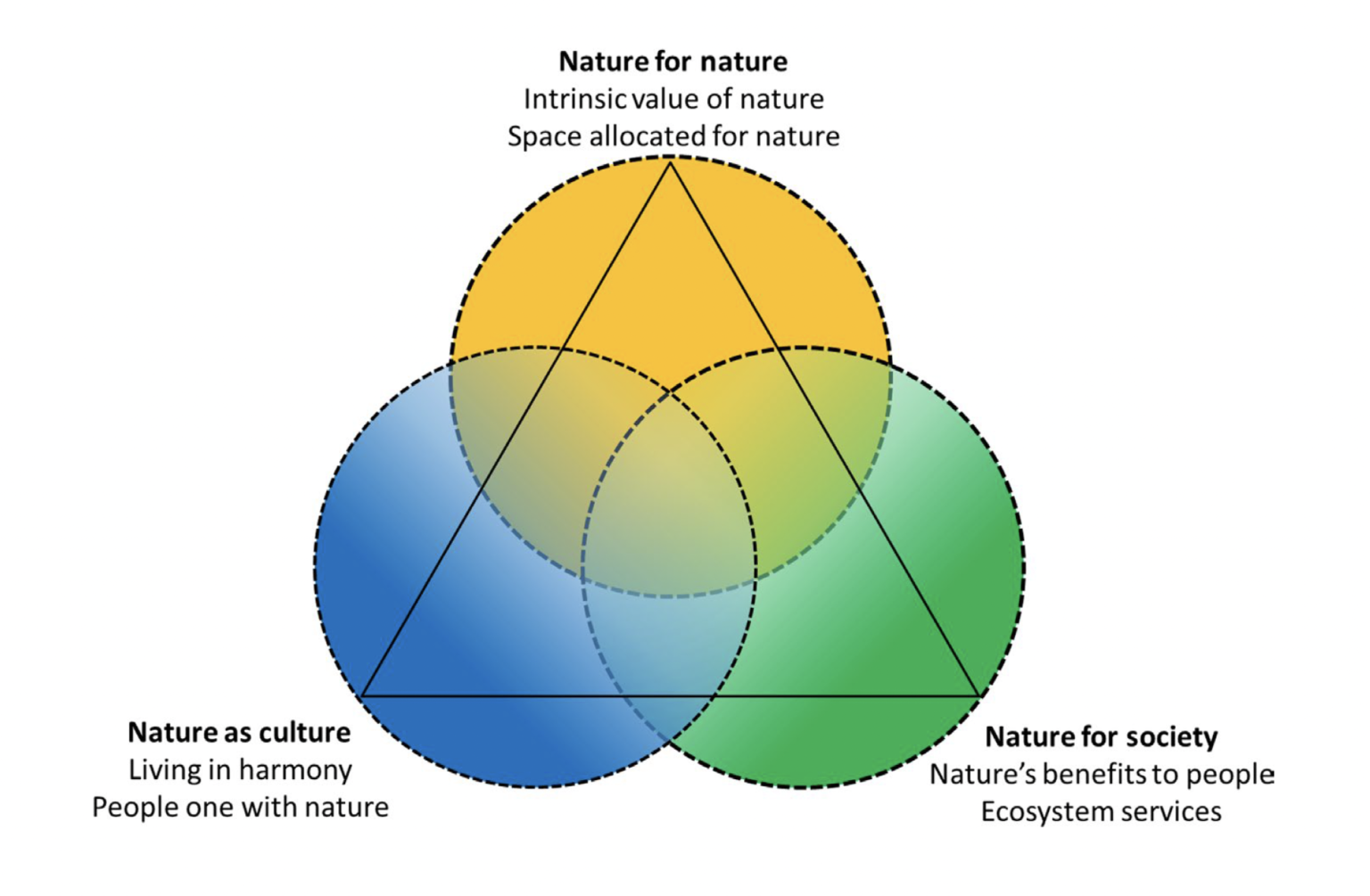 CreaTures seminar #9: Laura Pereira – CreaTures